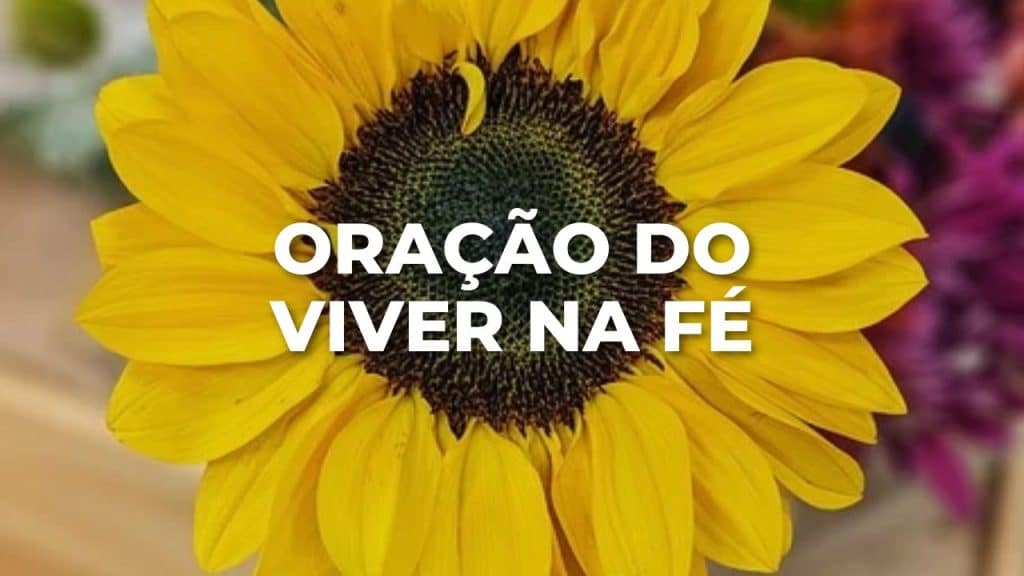 Oração do viver na fé - Benção Diária